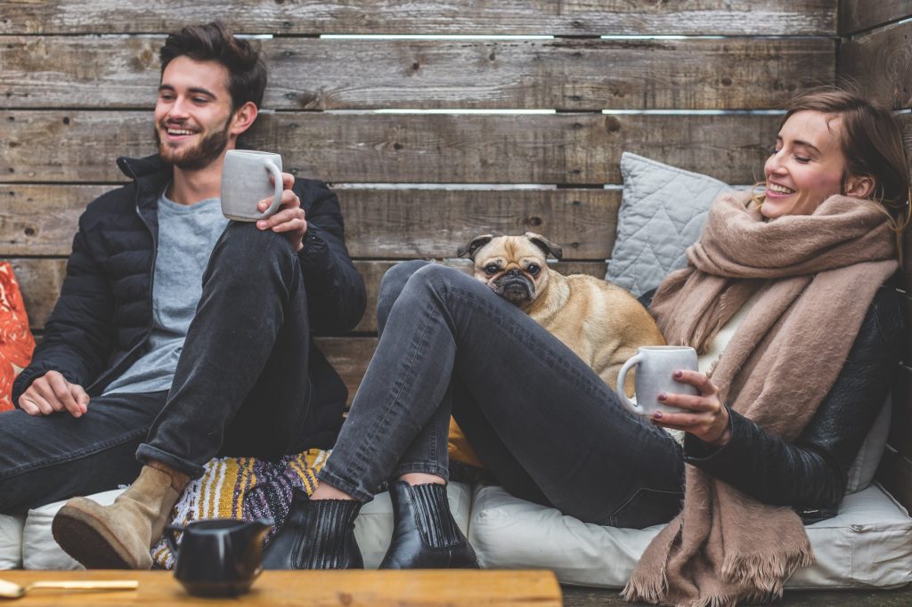 Pet Profits 5 Inspiring Pet Business Ideas You Should Consider Starting Pet Profits 5 Inspiring Pet Business Ideas You Should Consider Starting