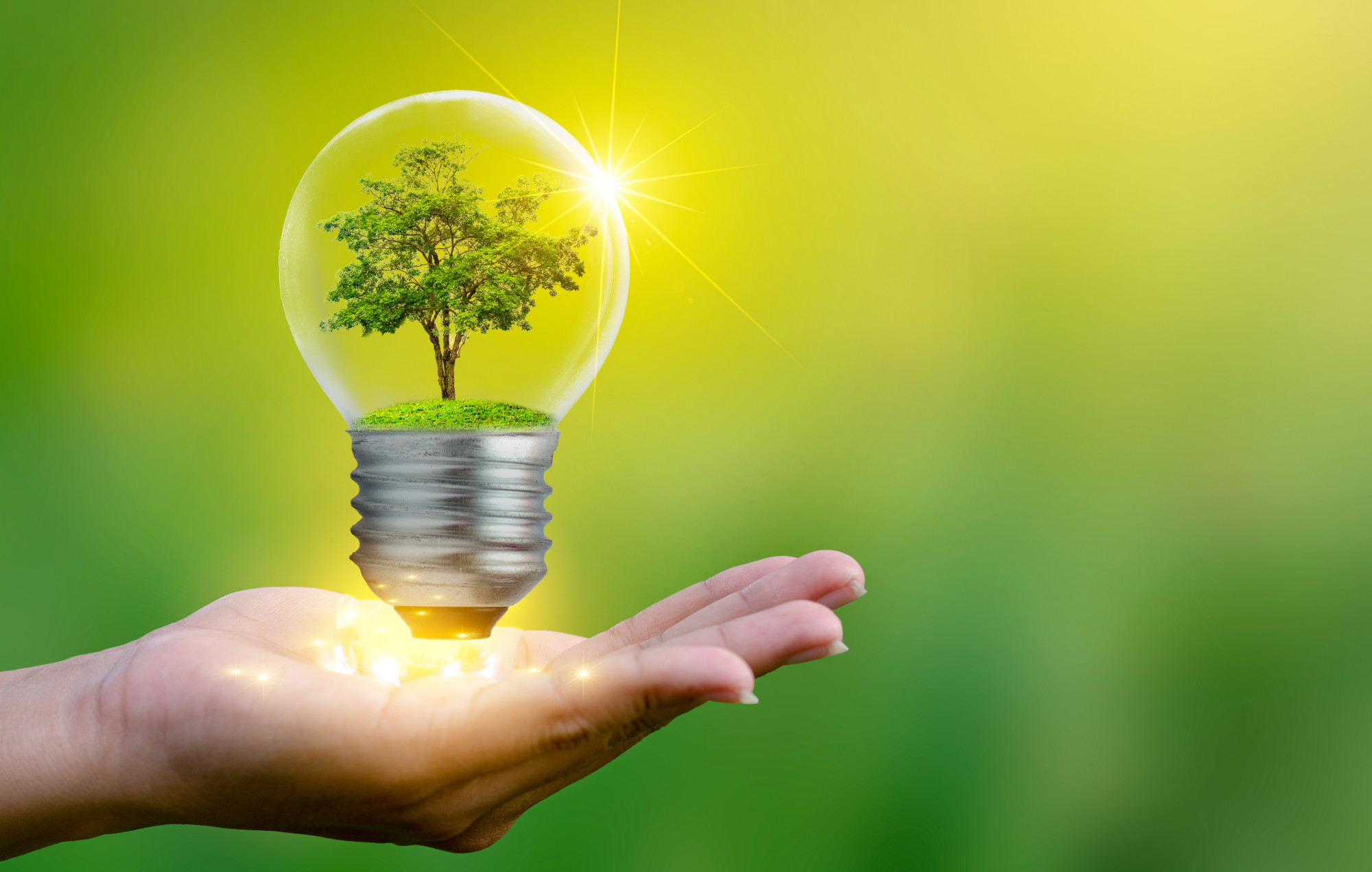5 Tips to Turn Your Organization into an Energy Saving Business