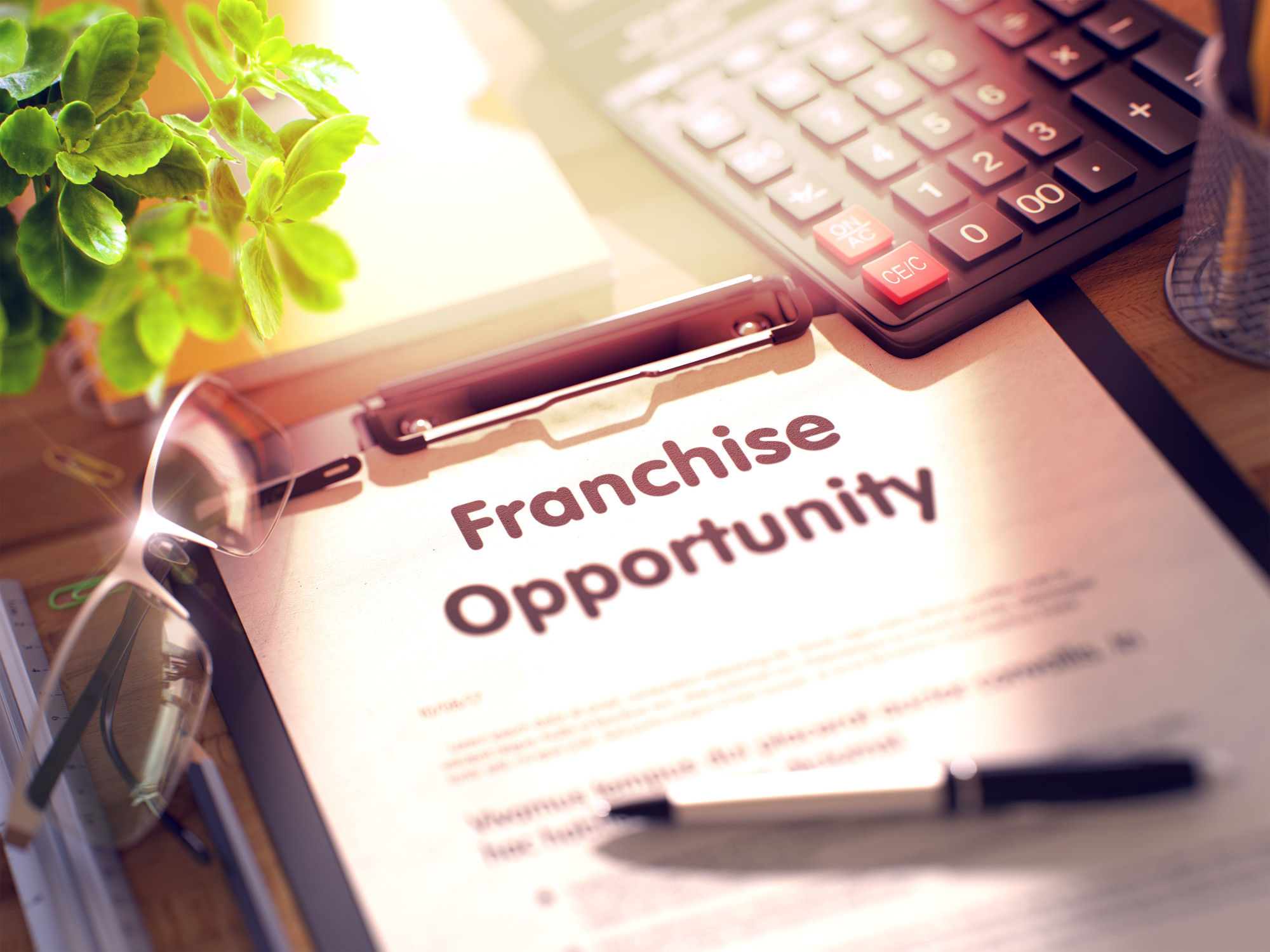 Owning a Franchise Pros and Cons: The Good and Bad