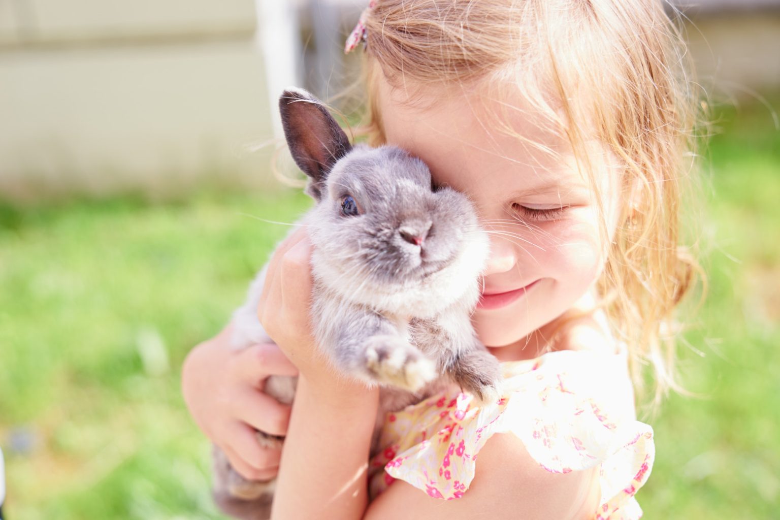 Furry Family Fun: How to Choose Good Family Pets