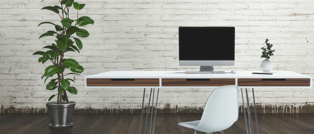 Go Green at Work: A Starter Guide to the Best Office Plants